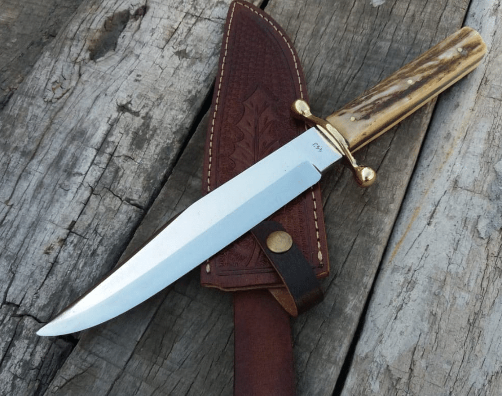 Antler Knife: Stats Show You Need One!